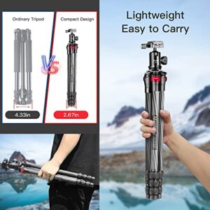 Manbily 63" Carbon Fiber DSLR Camera Tripod Monopod Kit,Compact and Lightweight,360-degree Panoramic Ball Head Quick Release Plate,5 Seconds Quickly Invert The Center Column,for Travel Work(YS-254C)