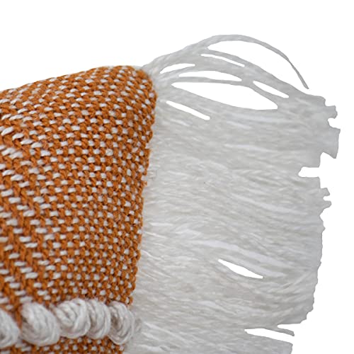 Foreside Home & Garden Orange Striped Woven 20x20 Outdoor Decorative Throw Pillow with Hand Tied Fringe, 20 x 20 x 5, Brown