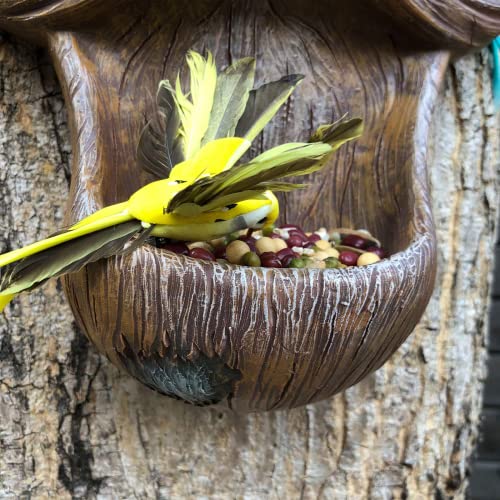 ALLADINBOX Tree Face Birdfeeder - Old Man with Glowing Eyes in Dark Outdoor Tree Hugger Sculpture - Whimsical Garden Decoration and Wild Birdfeeder Yard Art