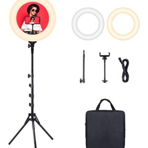 18" LED Ring Light with 72" Adjustable Stand, 4800LM 3000K-6500K 432pcs SMD LED CRI 90+ Dimmable Ring Light Kit for Camera, YouTube, Makeup, Portrait Shooting