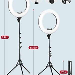 18" LED Ring Light with 72" Adjustable Stand, 4800LM 3000K-6500K 432pcs SMD LED CRI 90+ Dimmable Ring Light Kit for Camera, YouTube, Makeup, Portrait Shooting