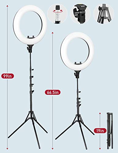 18" LED Ring Light with 72" Adjustable Stand, 4800LM 3000K-6500K 432pcs SMD LED CRI 90+ Dimmable Ring Light Kit for Camera, YouTube, Makeup, Portrait Shooting