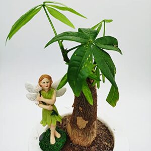 JIUMO Fairy Garden Fairies Outdoor Miniature Garden Fairy Set of 2 Boy Fairies Figurines Small Little Tiny Miniature Forest Fairies Ornaments Fairy Garden Accessories