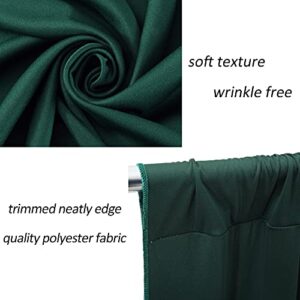 10ft x 10ft Hunter Green Backdrop Curtain for Parties Dark Green Wrinkle Free Backdrop Drapes Panels for Baby Shower Birthday Party Photo Photography Polyester Fabric Background Decoration