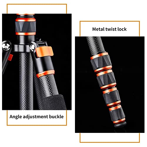 K&F Concept 60 inch Carbon Fiber Camera Tripod,Super Lightweight Compact Travel Tripod with 360 Degree Ball Head,Quick Release Plate,Detachable Monopod 8KG Load Capacity for SLR DSLR C225C0 (BA225)