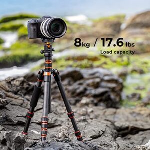 K&F Concept 60 inch Carbon Fiber Camera Tripod,Super Lightweight Compact Travel Tripod with 360 Degree Ball Head,Quick Release Plate,Detachable Monopod 8KG Load Capacity for SLR DSLR C225C0 (BA225)