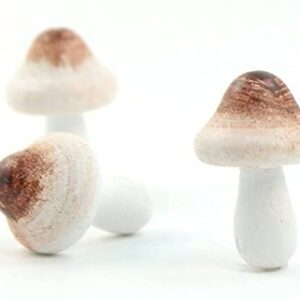 Meyer Imports Mini Wooden Mushroom Decoration (6 Piece) - Miniature Mushrooms for Fairy Garden Art/Crafts/Dollhouse/Figurines Decor - Natural