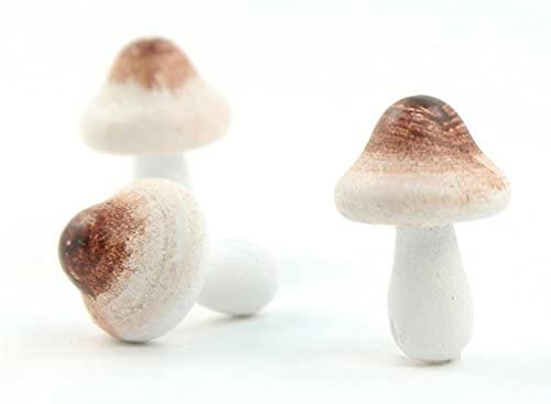 Meyer Imports Mini Wooden Mushroom Decoration (6 Piece) - Miniature Mushrooms for Fairy Garden Art/Crafts/Dollhouse/Figurines Decor - Natural