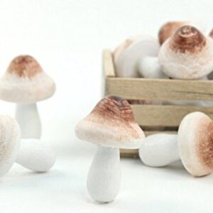 Meyer Imports Mini Wooden Mushroom Decoration (6 Piece) - Miniature Mushrooms for Fairy Garden Art/Crafts/Dollhouse/Figurines Decor - Natural