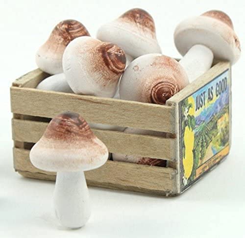 Meyer Imports Mini Wooden Mushroom Decoration (6 Piece) - Miniature Mushrooms for Fairy Garden Art/Crafts/Dollhouse/Figurines Decor - Natural