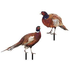 hanabass 2pcs chicken garden statue acrylic pheasant garden stake outdoor chicken figurine yard art lawn ornament decorative animal ornaments for patio yard lawn