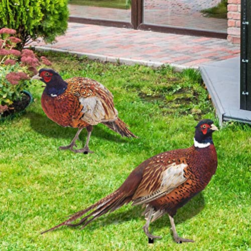 HANABASS 2pcs Chicken Garden Statue Acrylic Pheasant Garden Stake Outdoor Chicken Figurine Yard Art Lawn Ornament Decorative Animal Ornaments for Patio Yard Lawn