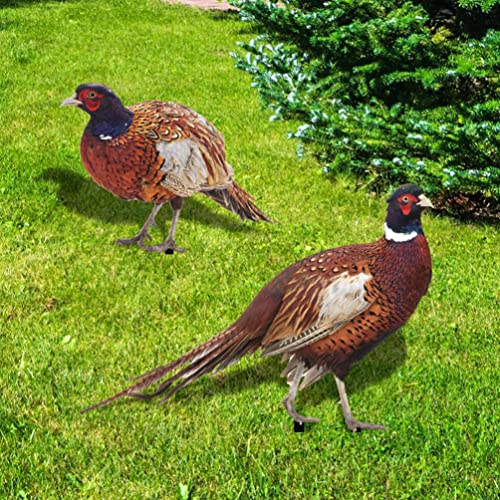 HANABASS 2pcs Chicken Garden Statue Acrylic Pheasant Garden Stake Outdoor Chicken Figurine Yard Art Lawn Ornament Decorative Animal Ornaments for Patio Yard Lawn