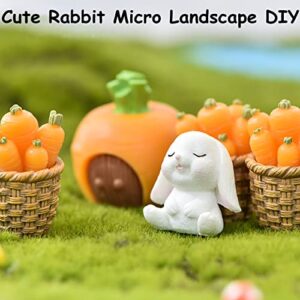 LONCESS Rabbit and Carrot Fairy Garden Accessories, Fairy Garden Kit, DIY Micro Landscape Ornaments for Easter Bunny Decor Garden Potted Plant Terrarium Decor Fairy Garden Miniatures 14 Pcs