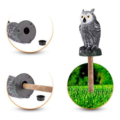 BRITENWAY Ultimate Scarecrow Owl Decoy Statue Realistic Fake Owl Outdoor Bird Deterrent, Hand-Painted Garden Protector, Scares Away Squirrels, Pigeons, Rabbits & More 10,5” Hollow Design