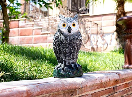 BRITENWAY Ultimate Scarecrow Owl Decoy Statue Realistic Fake Owl Outdoor Bird Deterrent, Hand-Painted Garden Protector, Scares Away Squirrels, Pigeons, Rabbits & More 10,5” Hollow Design