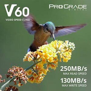 Prograde Digital SD UHS-II 128GB Card V60 –Up to 130MB/s Write Speed and 250 MB/s Read Speed | for Professional Vloggers, Filmmakers, Photographers & Content Curators