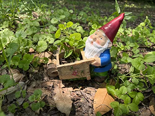 Cliocoo Garden Gnome Statue Planter-Funny Resin Gnome Figurine Holding a Wheelbarrow, Fairy Garden Gnome, Outdoor Décor for Home Lawn Yard Patio, 5.9 Inch (Gnome Holding Wheelbarrow)