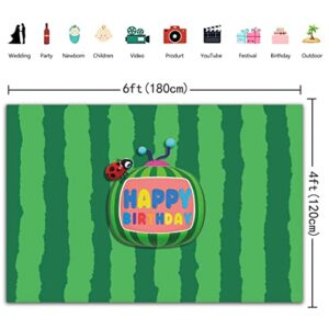 Cute Cartoon Watermelon Backdrop Kids 1st 2nd 3rd Happy Birthday Watermelon Theme Party Photography Backdrops Newborn Baby Shower Decoration Background 6x4FT