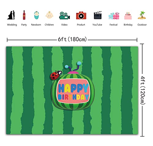 Cute Cartoon Watermelon Backdrop Kids 1st 2nd 3rd Happy Birthday Watermelon Theme Party Photography Backdrops Newborn Baby Shower Decoration Background 6x4FT