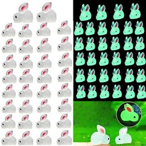 hyg 30 pieces of mini resin luminous rabbit mini portrait mini fairy garden landscape aquarium decoration potted plant decoration diy christmas birthday party slime amulet. (luminous rabbit)