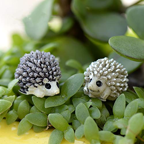 MAOMIA 21 Pcs Mini Hedgehog Figurines, Fairy Garden Hedgehog Miniature Figurines Moss Landscape DIY Terrarium Crafts Ornament Accessories Outdoor Decor