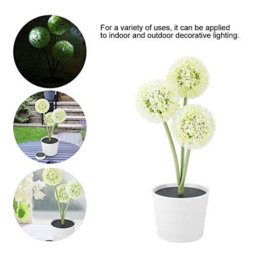 MIGONG Solar Powered Flower Lights, Waterproof Garden Lights Solar Powered Solar Powered 3Led Flower Pot Fiber Optic Lamp for Home Office Hotel Courtyards Balconies Gardens 14.4X6.5In