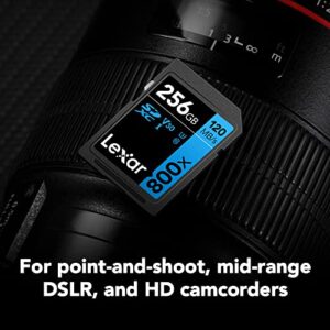 Lexar High-Performance 800x 32GB (2-Pack) SDXC UHS-I Memory Cards, C10, U1, V10, Full-HD & 4K Video, Up to 120MB/s Read, for Point-and-Shoot Cameras, Mid-Range DSLR, HD Camcorder (LSD0800032G-B2NNU)