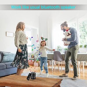 Hidden Camera with 32G SD Card, 1080P WiFi Spy Camera Hide in Bluetooth Speaker, Nanny Cam with 180° Rotating Lens, App Live Stream, Remote View, Motion Detection Notification, Self Video Recording