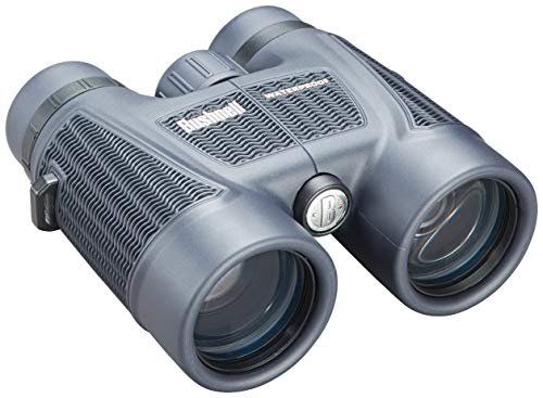 Bushnell H2O 10x42mm Binoculars, Waterproof/Fogproof Roof Prism Binoculars for Boating amd Travel