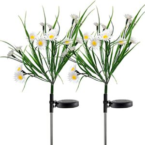 amzstar solar lawn light flower light 2 pack 28led daisy solar garden light,outdoor decoration stake lights,waterproof solar landscape light statue lamp garden stakes decorative,lawn (white)