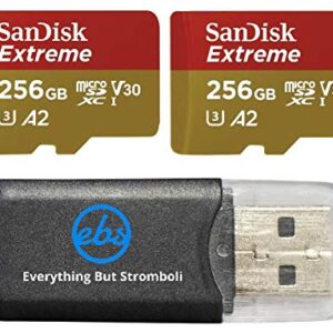 SanDisk Extreme V30 A2 (2 Pack) 256GB MicroSD Card for DJI Mavic Mini 2, Mavic Mini, Mavic Air 2 Drone - C10 U3 A2 (SDSQXA1-256G-GN6MN) Bundle with 1 Everything But Stromboli Micro Memory Card Reader