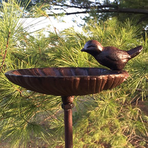 Scallop Shell Garden Stake, Bird Feeder, Cast Iron, 3 Feet 2 1/2 Inches Tall, Rustic Garden Decoration