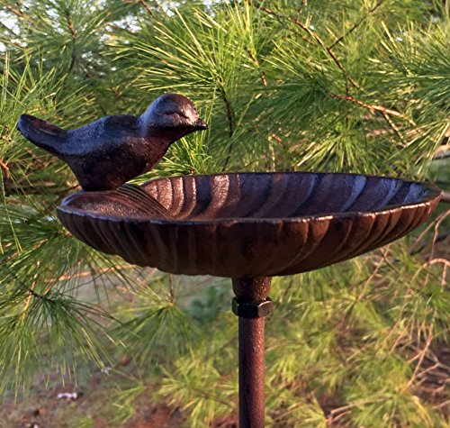 Scallop Shell Garden Stake, Bird Feeder, Cast Iron, 3 Feet 2 1/2 Inches Tall, Rustic Garden Decoration