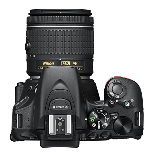 D5600 DX-Format Digital SLR w/AF-P DX NIKKOR 18-55mm f/3.5-5.6G VR