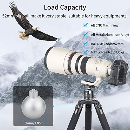 Low Profile Tripod Ball Head-INNOREL N52,Panoramic CNC Metal Camera Tripod Ball Head with Two 1/4" Screw Arca Swiss Quick Release Plates for Tripod,Monopod,DSLR,Camcorder,Max Load 66lbs/30kg