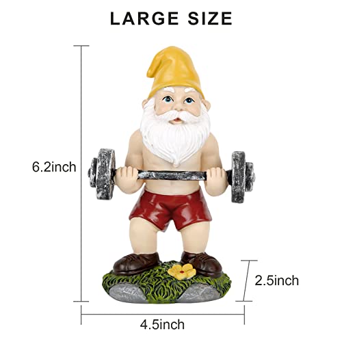 Mrsivrop Funny Workout Garden Gnomes Statues 6.2 Inches Outdoor Funny Weightlifting Gnomes Decorations for Yard, Lawn, Patio, Indoor Gnome Figurine for Home Tabletop