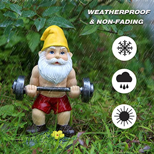 Mrsivrop Funny Workout Garden Gnomes Statues 6.2 Inches Outdoor Funny Weightlifting Gnomes Decorations for Yard, Lawn, Patio, Indoor Gnome Figurine for Home Tabletop