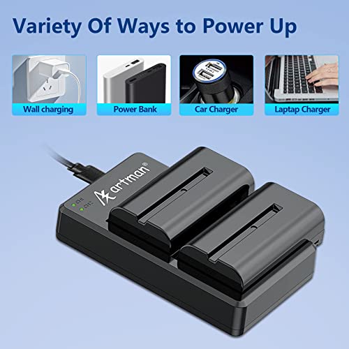 Artman NP-F550 Battery and Dual USB Charger for Sony NP F550, F570, F530, F330, F970, F960, F750, F770, CCD-SC55, TR516, TR716, TR818, TR910 (2-Pack 2900mAh)