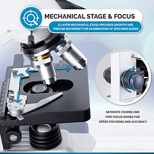 AmScope B120C Siedentopf Binocular Compound Microscope, 40X-2500X Magnification, Brightfield, LED Illumination, Abbe Condenser, Double-Layer Mechanical Stage