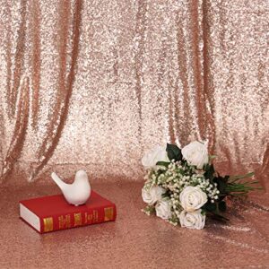 2Pcs 3Ft x 8Ft Rose Gold Sequin Backdrop Curtain, Glitter Photography Background, Sequence Xmas Thanksgiving Backdrop for Wedding Party Holiday Festival Decor…