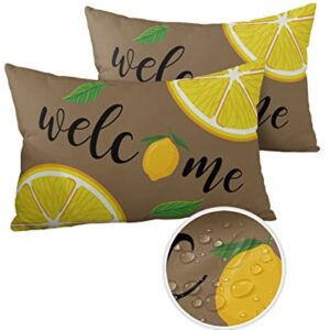 ALAGEO Outdoor Waterproof Pillow Covers for Patio Furniture Summer Fruit Lemon Decorative Throw Pillow Cover Plant Green Leaves Brown Pillowcases Set of 2 Cushion Case for Sofa Couch Chair 20x12 in