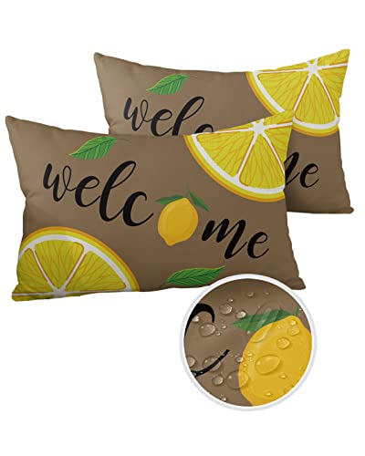 ALAGEO Outdoor Waterproof Pillow Covers for Patio Furniture Summer Fruit Lemon Decorative Throw Pillow Cover Plant Green Leaves Brown Pillowcases Set of 2 Cushion Case for Sofa Couch Chair 20x12 in