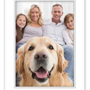 8x10 Mat for 6x8 Photo - Precut White on White Double Mat Picture Matboard for Frames Measuring 8 x 10 Inches - Bevel Cut Matte to Display Art Measuring 6 x 8 Inches - Acid Free ONE MAT