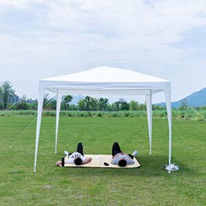 Party Tent Outdoor Canopy Outdoor Wedding Tent Water-Proof Canopy Tent with Removable Sidewalls (10 * 10)