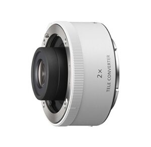 sony fe 2.0x teleconverter