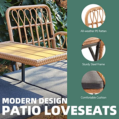 Leasbar Outdoor Patio Loveseat Rattan Conversation Furniture Set with Cushions Built-in Coffee Table for Garden Lawn Backyard Poolside