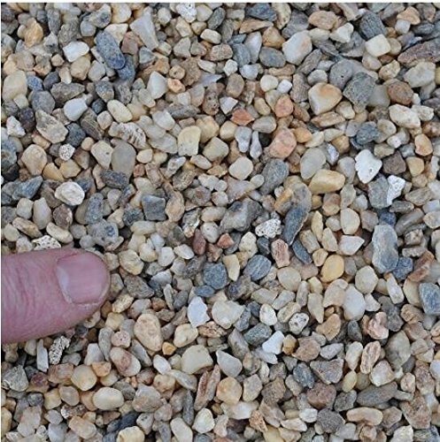 Super Z Outlet Tiny Miniature Fairy Garden Beach Rock Pebbles Collection for Art & Craft Project, Outdoor & Indoor Home Garden Decoration, Party Favor, Invitation (1 Pound Bag)