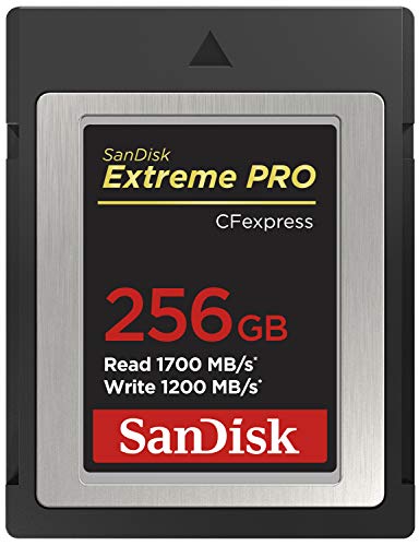 SanDisk 256GB Extreme PRO CFexpress Card Type B - SDCFE-256G-GN4NN