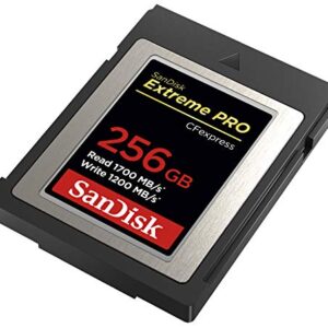 SanDisk 256GB Extreme PRO CFexpress Card Type B - SDCFE-256G-GN4NN